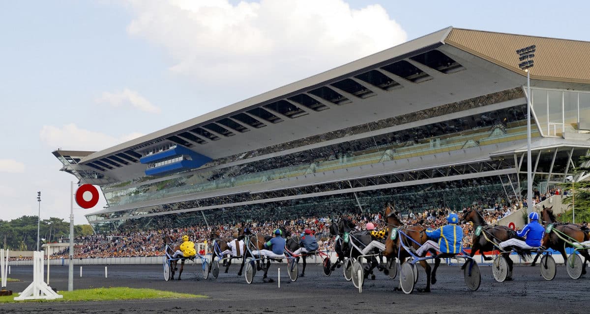 Pronostic Quinté Expert Base en Or du Jeudi 23/01/2025