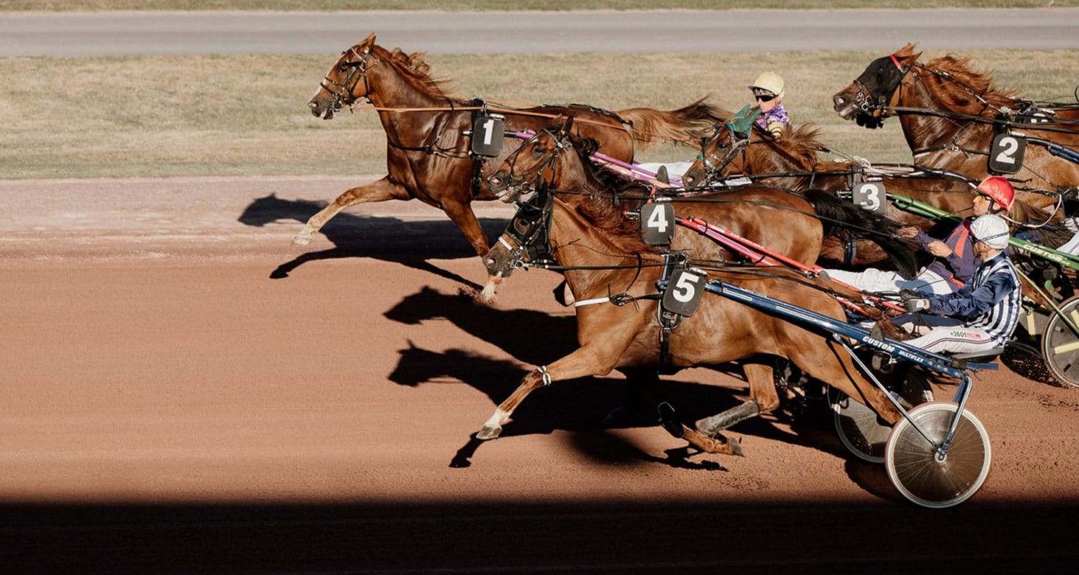 Pronostic Quinté 100 Gratuit 4 Tuyaux Pour Votre Quinté