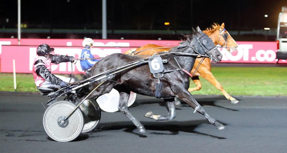 Pronostic Pmu Bases Et Tocard Quinté Du Vendredi 08 11 24