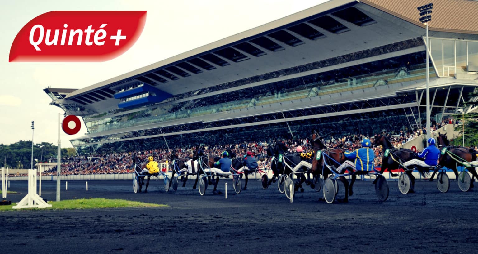 Pronostics Pmu Gratuits Pour Le Quinté Du Jour Tuyaux Vip