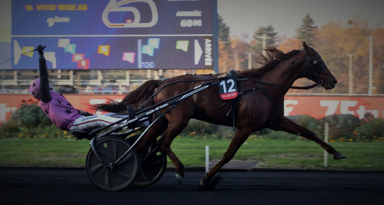 Base Quinté En Or Et Pronostic Quinté Du Mercredi 25 12 2024