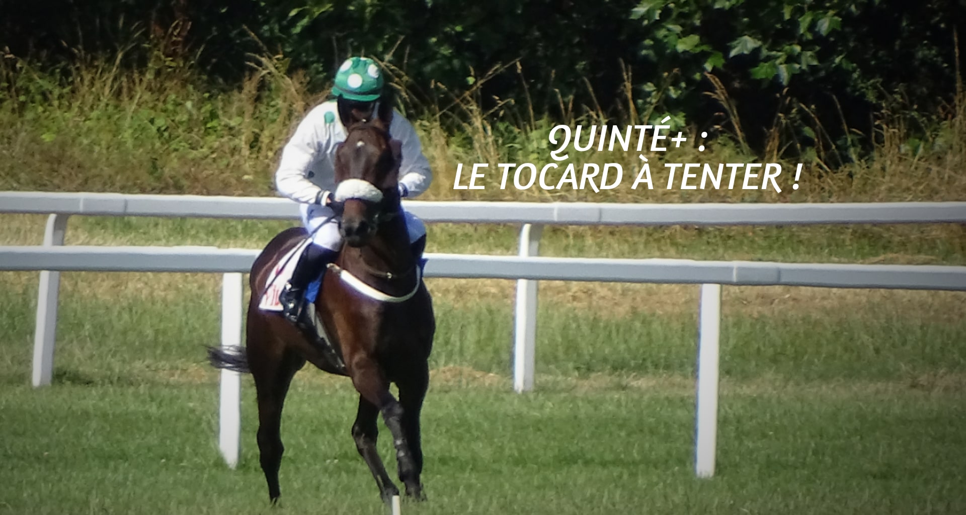 Quinté du Jour : Pronostics PMU Gratuits et Tuyaux VIP