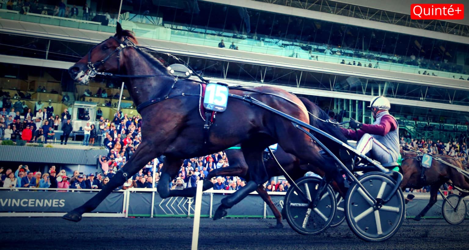 L Arrivée Du Quinté Dans L Ordre Calendrier Janvier 2025