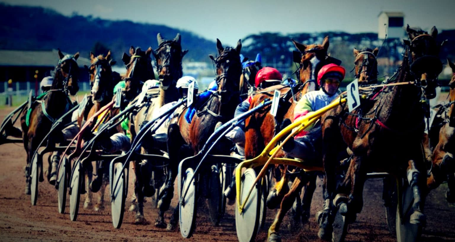 PMU. Bases Solides et Pronostic Quinté du Mercredi 09/07/25