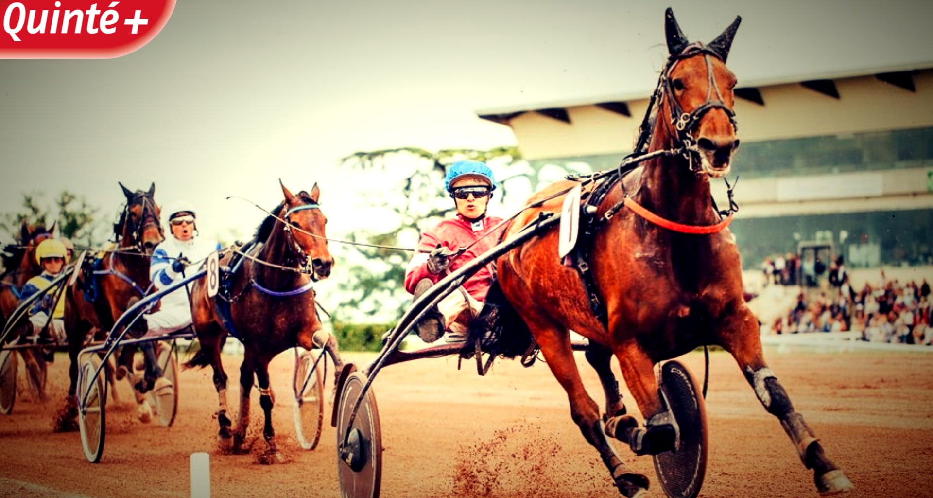 Base Prono Quinté du Samedi 01/03/25 Coup de Poker du Jour