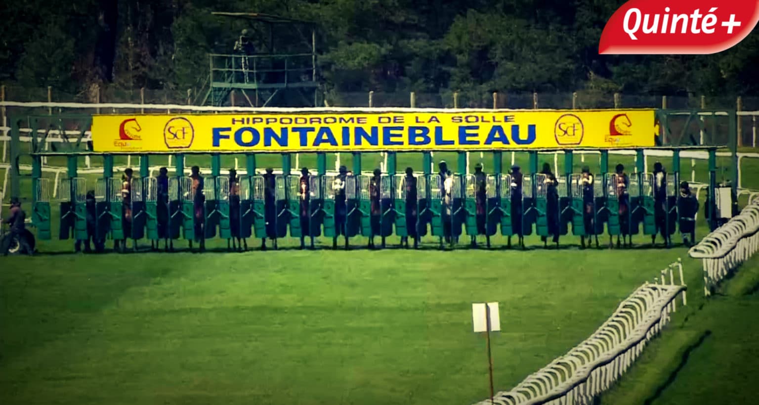 Bases Solides et Pronostic Quinté du Mardi 18/03/2025