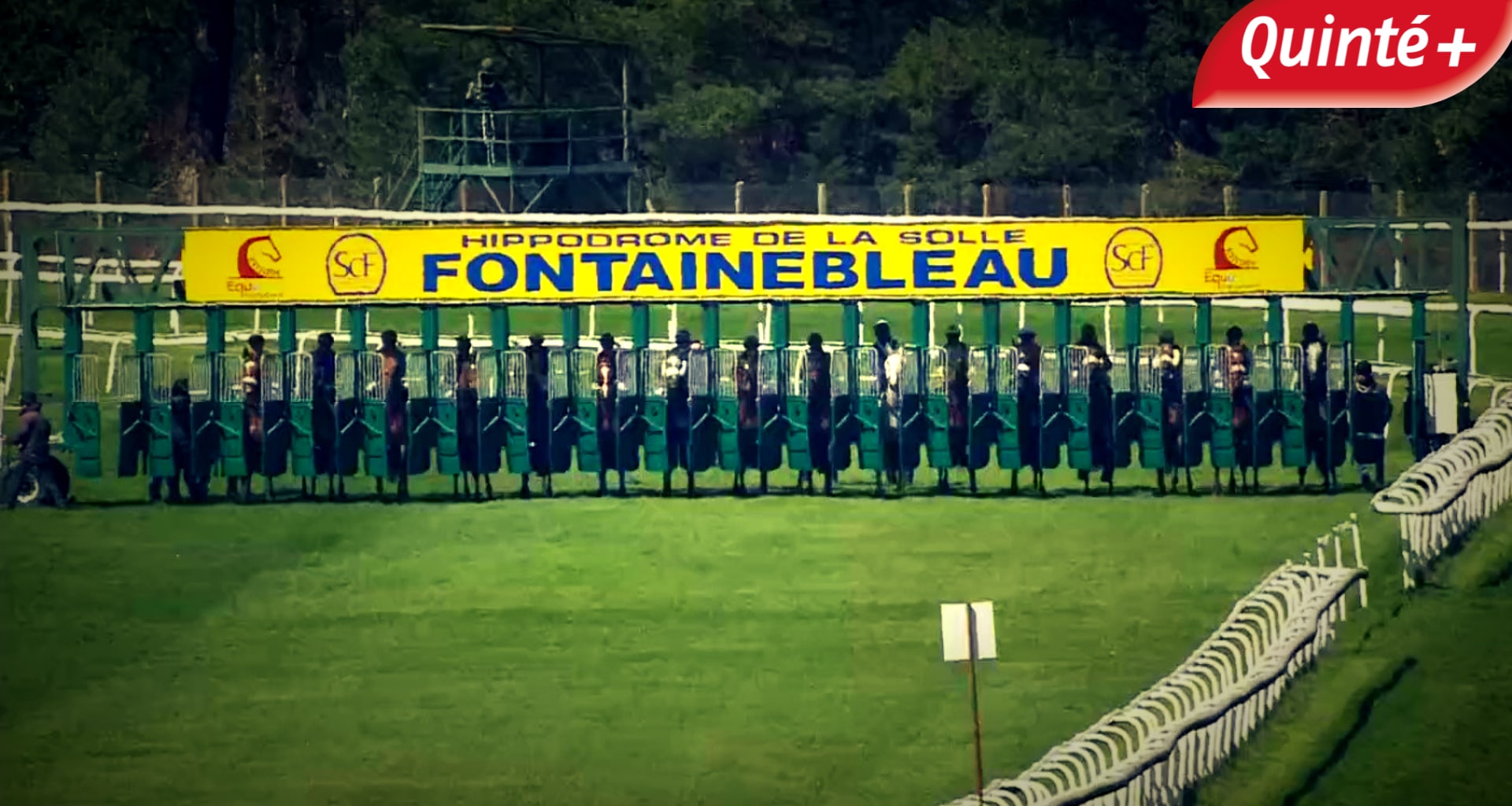 Prono du Mardi 18/02/25 • 4 Tuyaux pour le Quinté du Jour