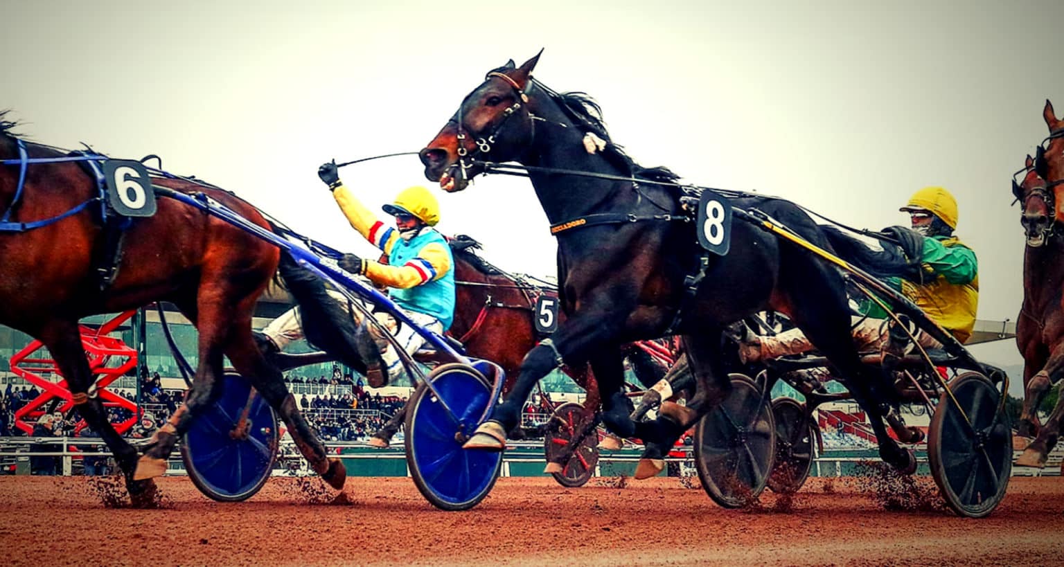 Base Quinté En Or Et Pronostic Quinté Du Mardi 21 01 2025