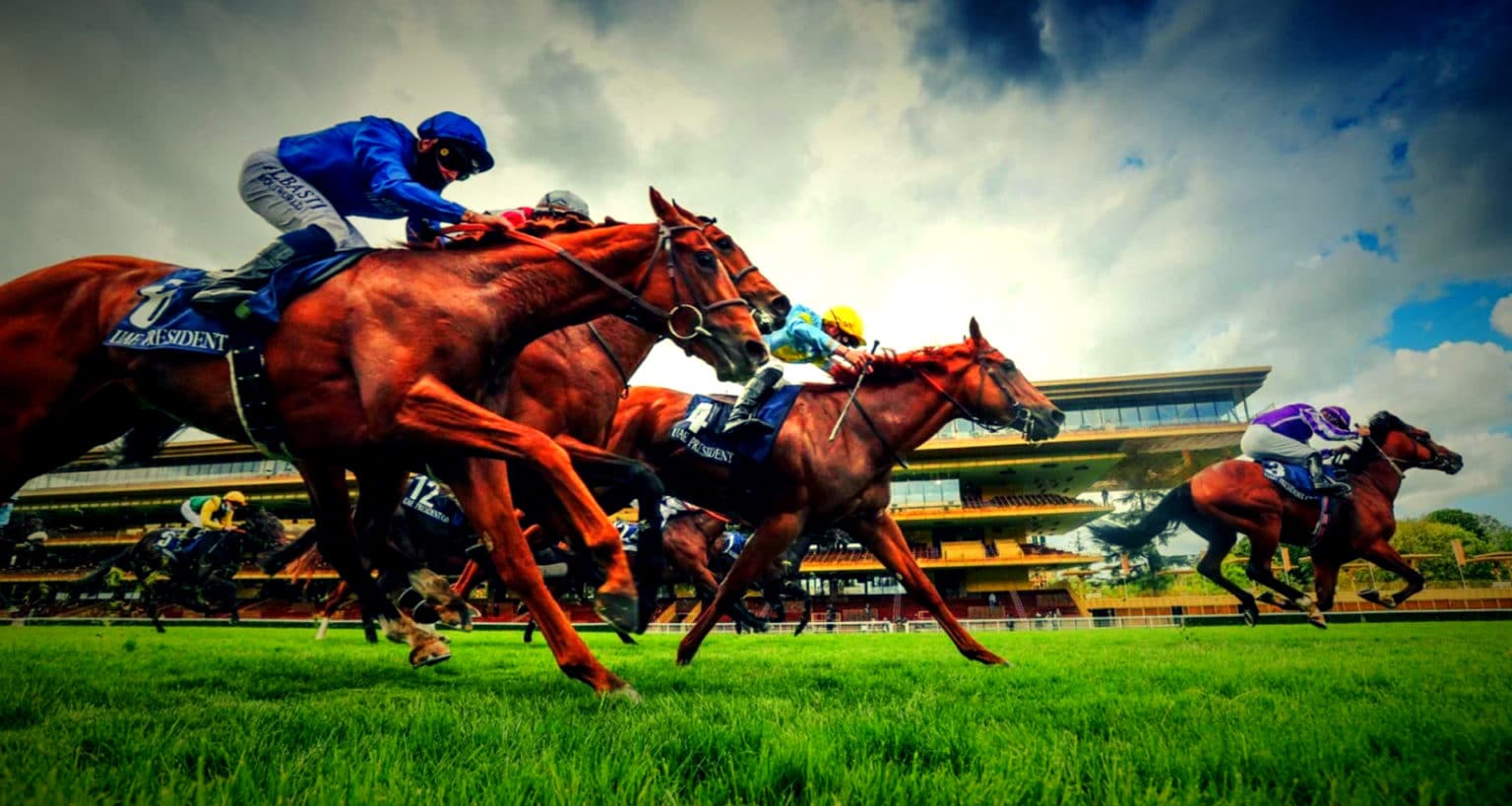 Quinté de Demain : Meilleurs Pronostics PMU et Bonnes Bases