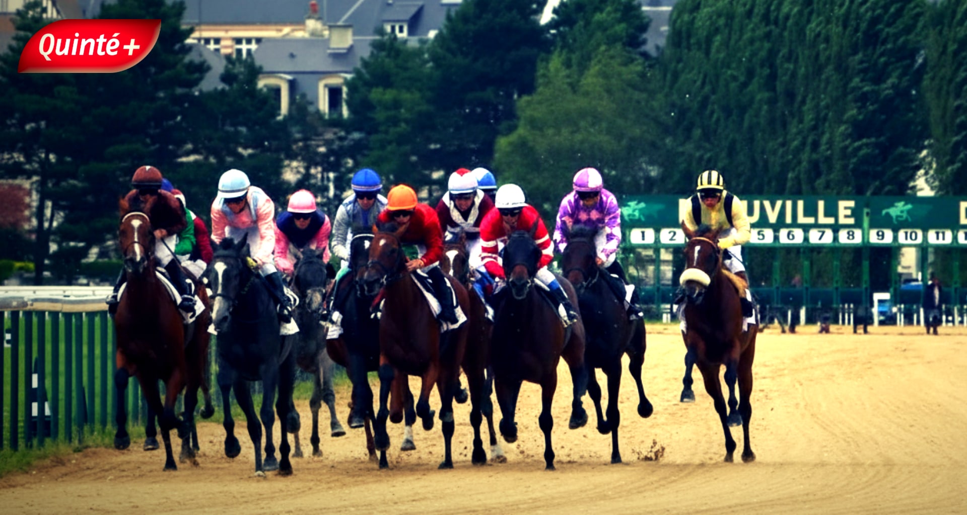 Base en Or à 10/1. Pronostic Quinté du Vendredi 30/01/2026