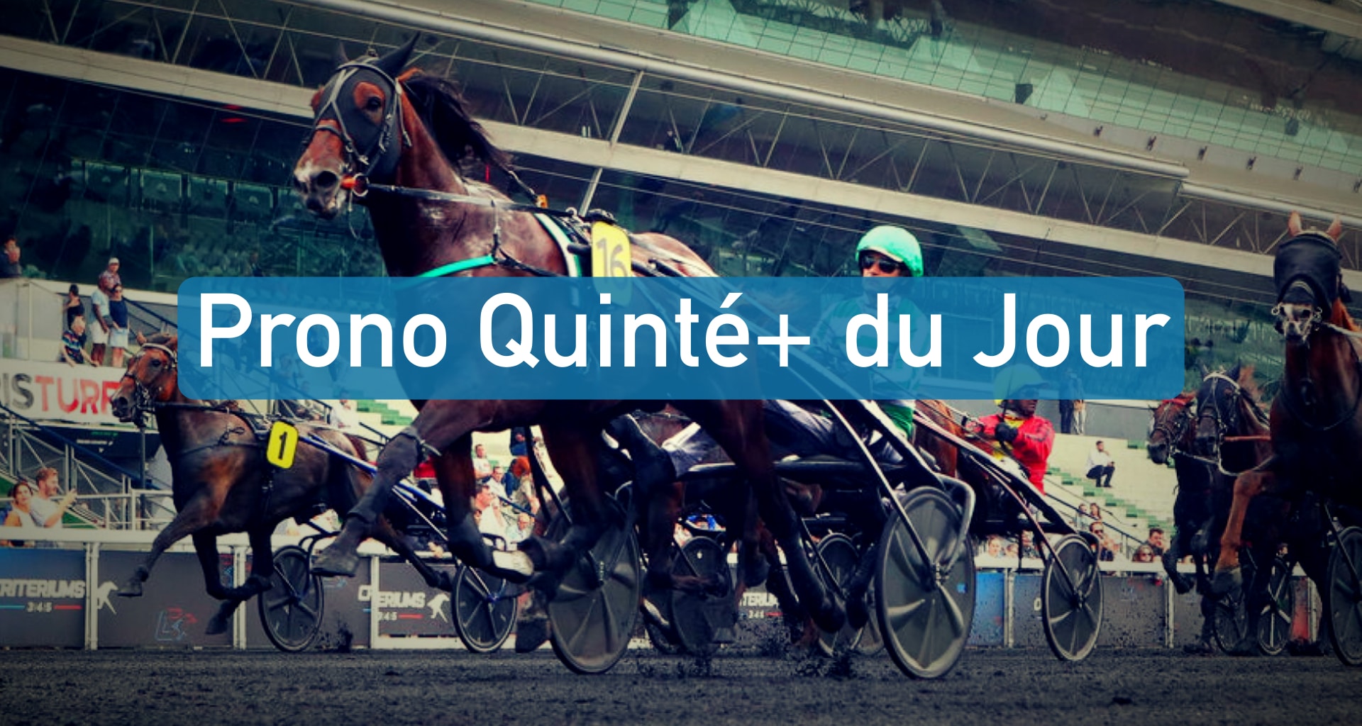 PMU. Pronostic Quinté du Jeudi 06/11/2025. Bases Solides