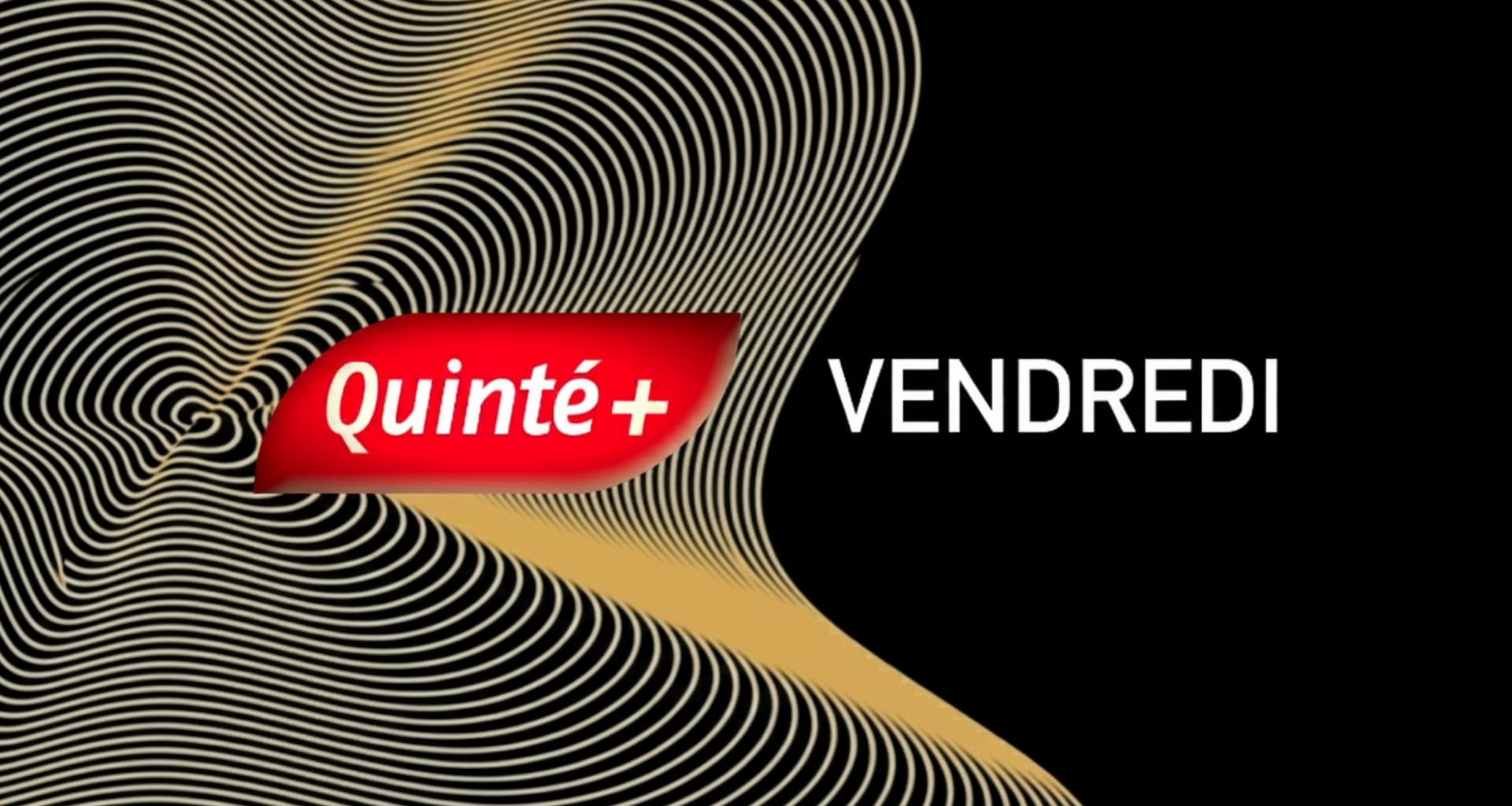 Pronostic Quinté du Vendredi 28/11/25. Bases, Choco, Tocard